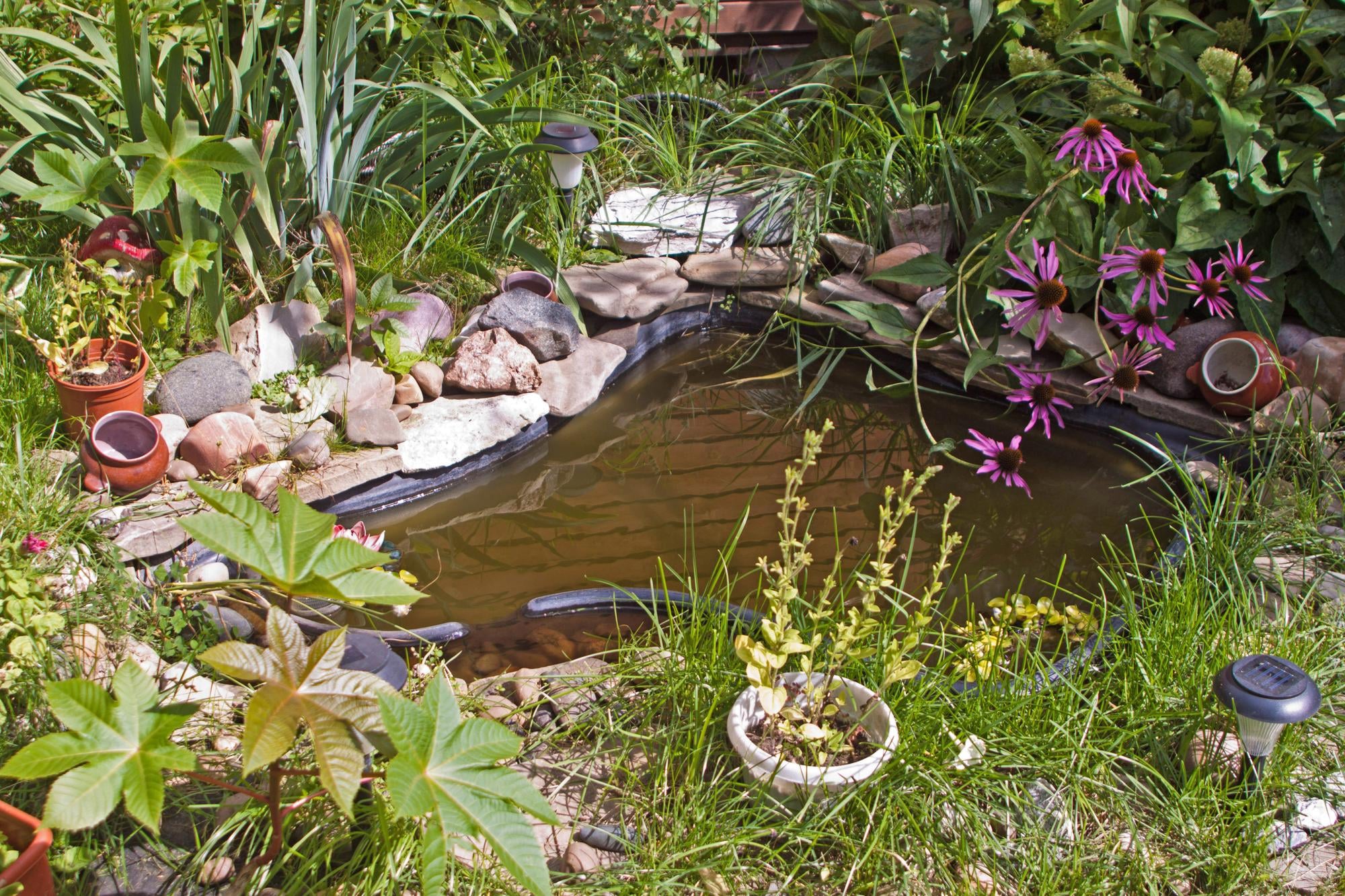 Kit complet bassin de jardin : filtration, pompe, UV